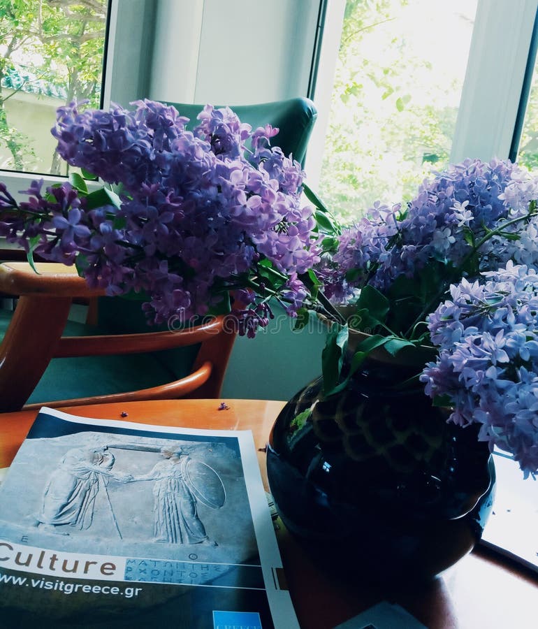 Spring Light Purple Lilac in Office Editorial Stock Image - Image of ...