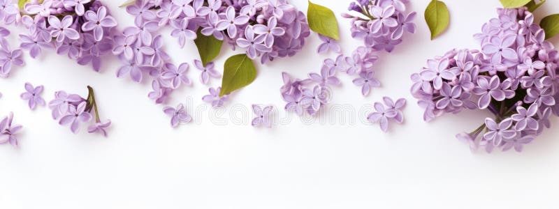 Spring lilac flowers stock illustration. Illustration of background ...