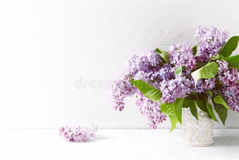 Bouquet of Spring Lilac Flowers Copy Space. Horizontal. Stock Photo ...