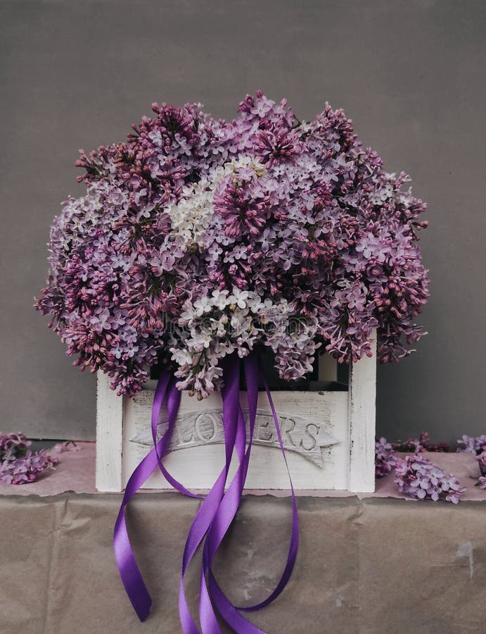 Spring Lilac Purple Heart Flower Composition Stock Photo - Image of ...