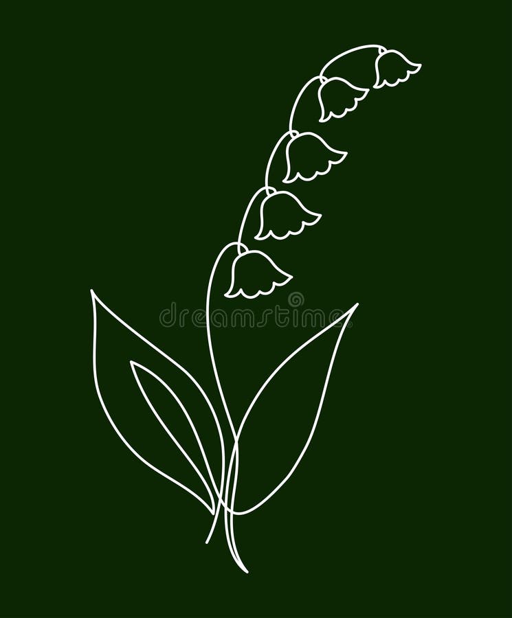 Spring Lily of the Valley in One Continuous Line Drawing. Simple ...
