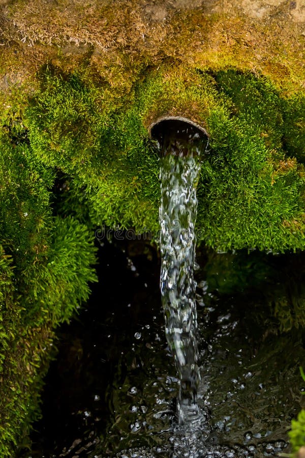 Spring stock photo. Image of water, green, daylight, monastery - 46593626