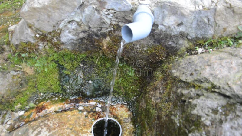 Spring Living Mountain Water Source Stock Footage - Video of tree ...