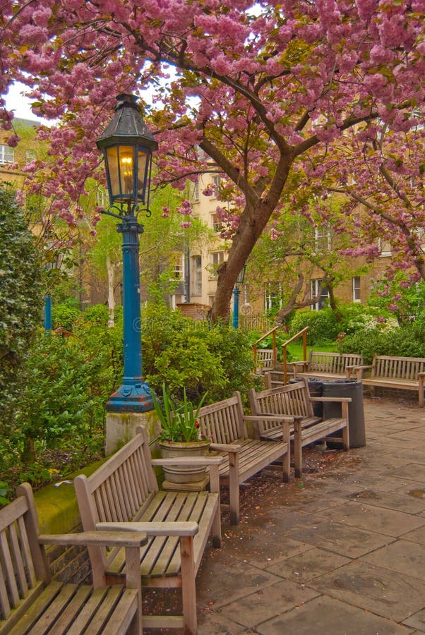 Spring London stock photo. Image of estate, english, london - 9283580