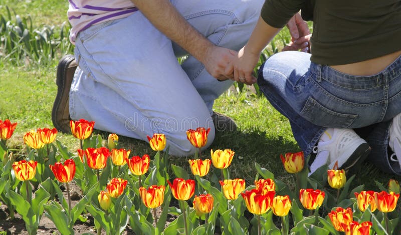 Spring love stock photo. Image of young, teen, tulips - 2468230