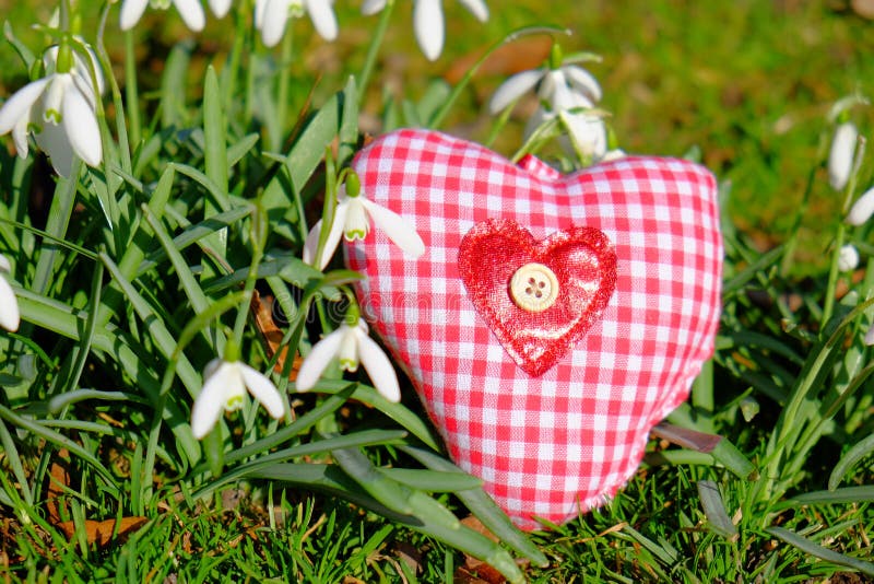 Spring love stock image. Image of symbol, loving, seasonal - 38622785