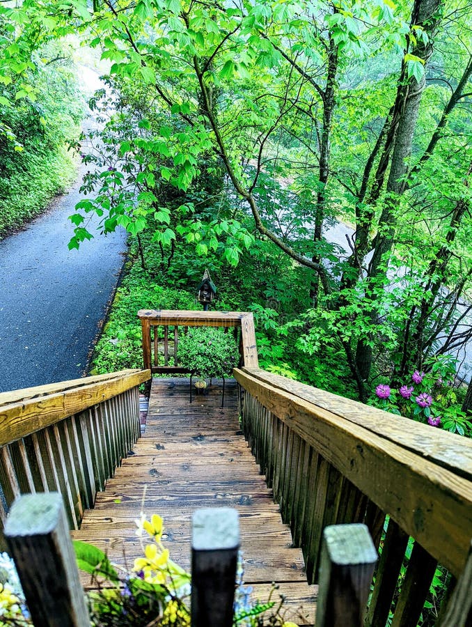 Spring in Maggie Valley, NC Stock Photo - Image of nature, green: 248634992