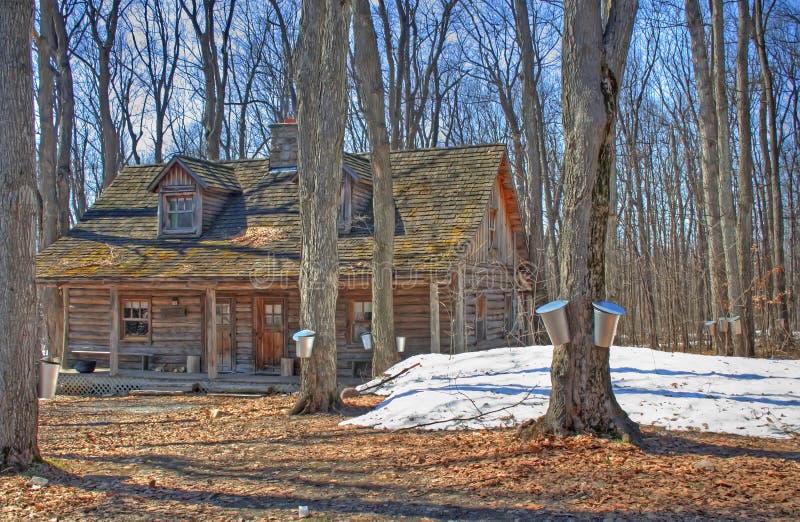 Spring, Maple Syrup Season. Stock Photo - Image of canada, products ...
