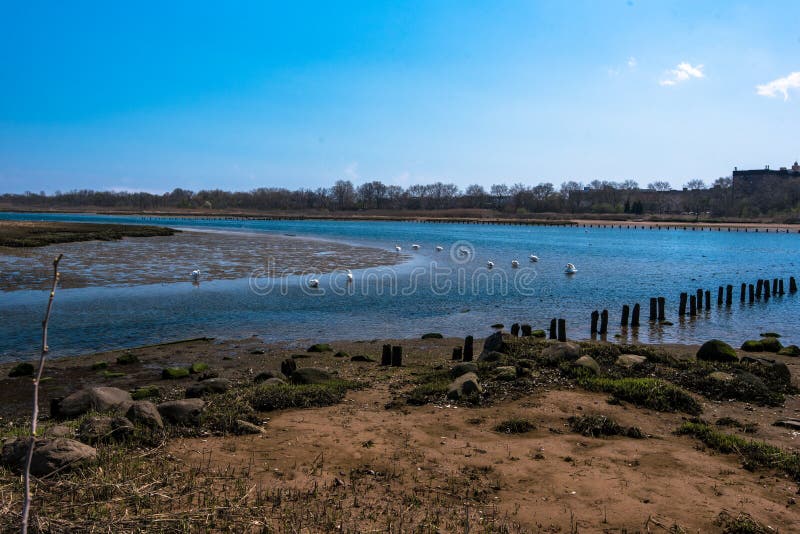 Spring in Marine Park stock photo. Image of green, county - 115532180