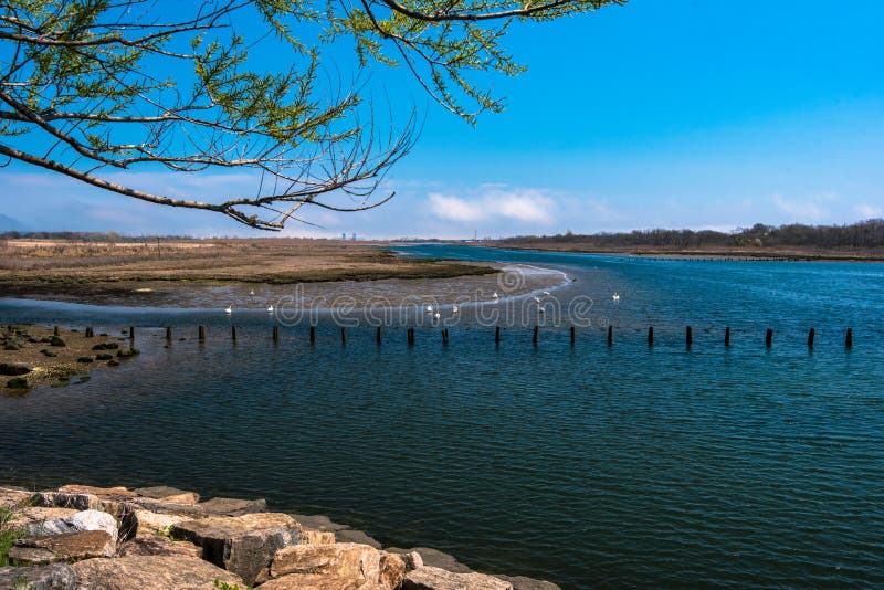 Spring in Marine Park stock image. Image of people, kings - 135328419