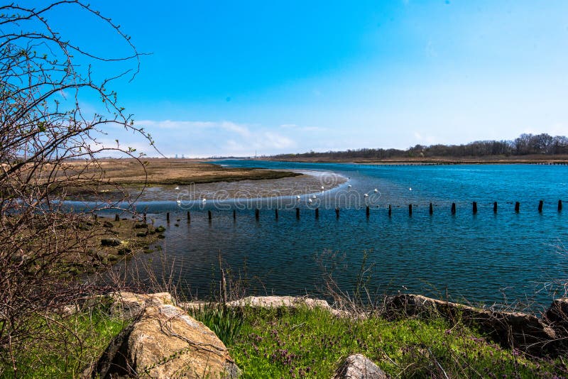 Spring in Marine Park editorial stock image. Image of people - 115532049