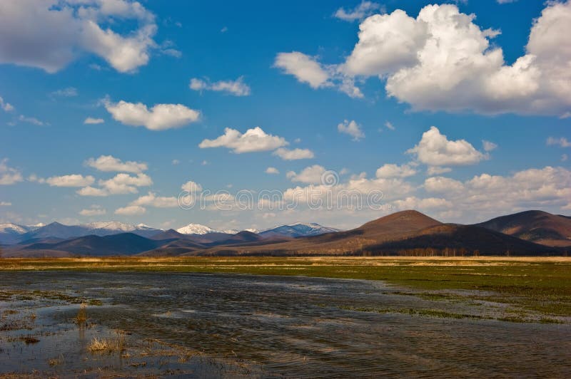 Spring in the Marsh Edge-4. Stock Photo - Image of growth, adventure ...