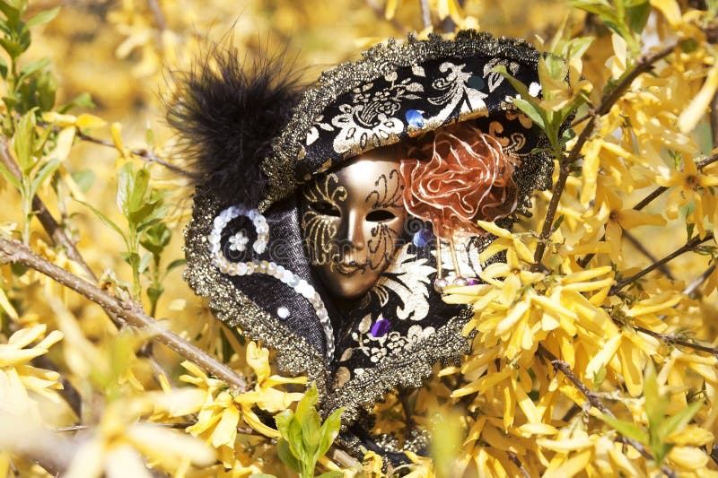 Spring mask - RAW format stock image. Image of bloom - 39471299