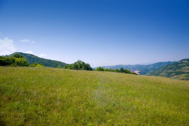 Spring meadow stock photo. Image of cloud, clear, farming - 2610258