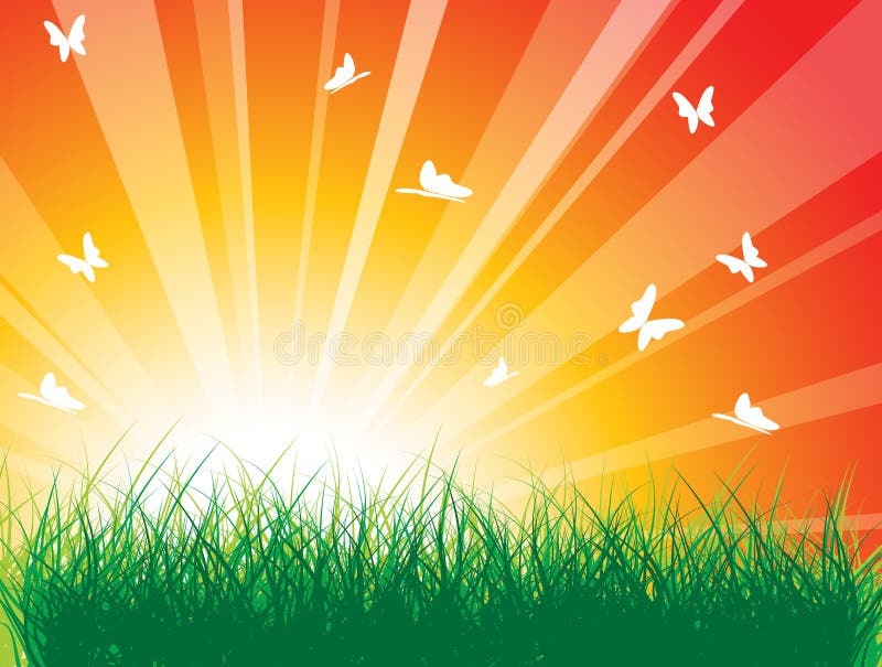 Spring meadow stock vector. Illustration of design, daisy - 4870132