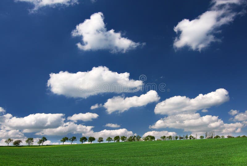 Spring Meadow And Amazing Sky Stock Image - Image of forest, lawn: 7705129