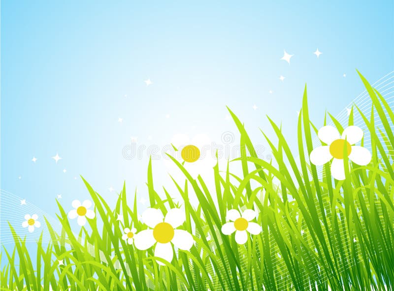 Spring meadow beautiful stock vector. Illustration of agriculture - 9342542