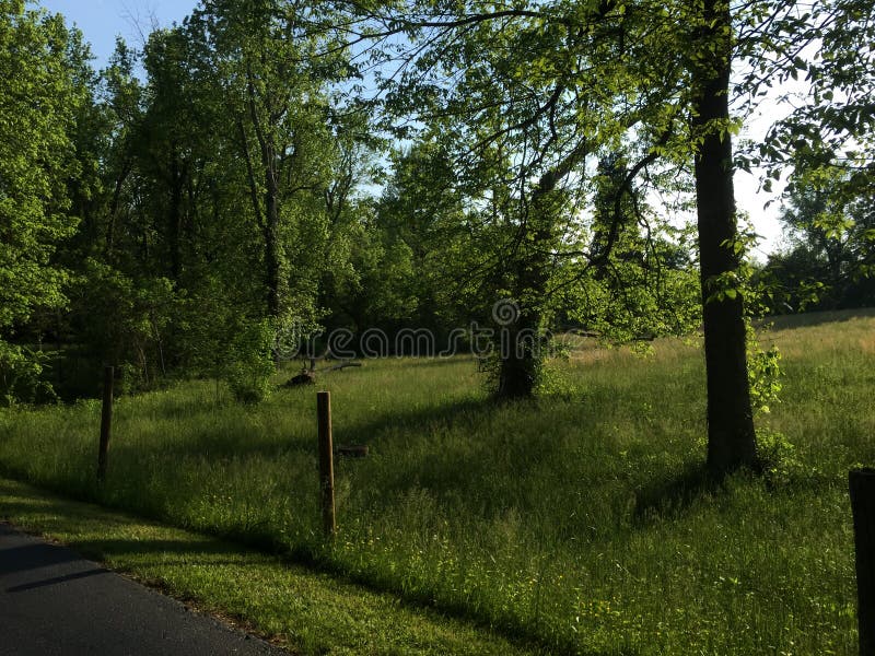 Spring meadow stock image. Image of north, carolina - 166511987