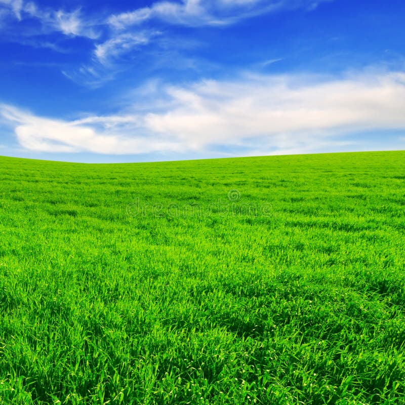 Spring meadow stock image. Image of cloudscape, heavens - 34137859