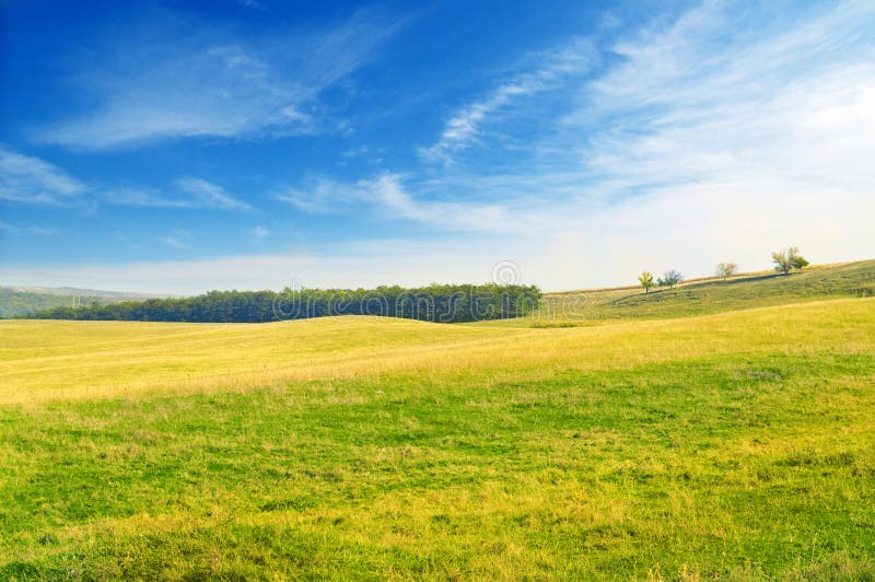 Spring meadow stock image. Image of outside, meadow, fields - 34424641