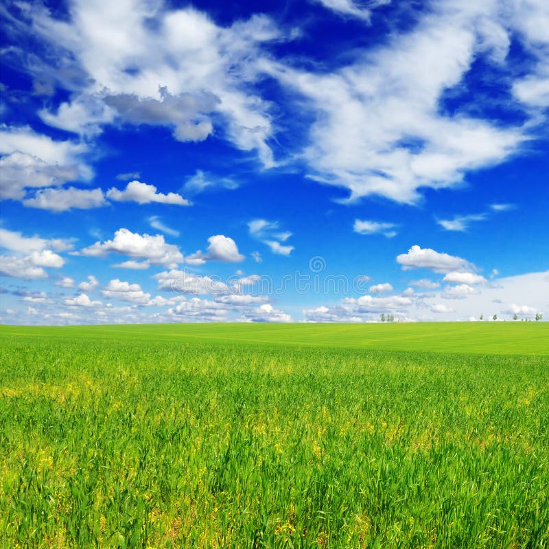 Spring meadow stock image. Image of cloudscape, fields - 34450427