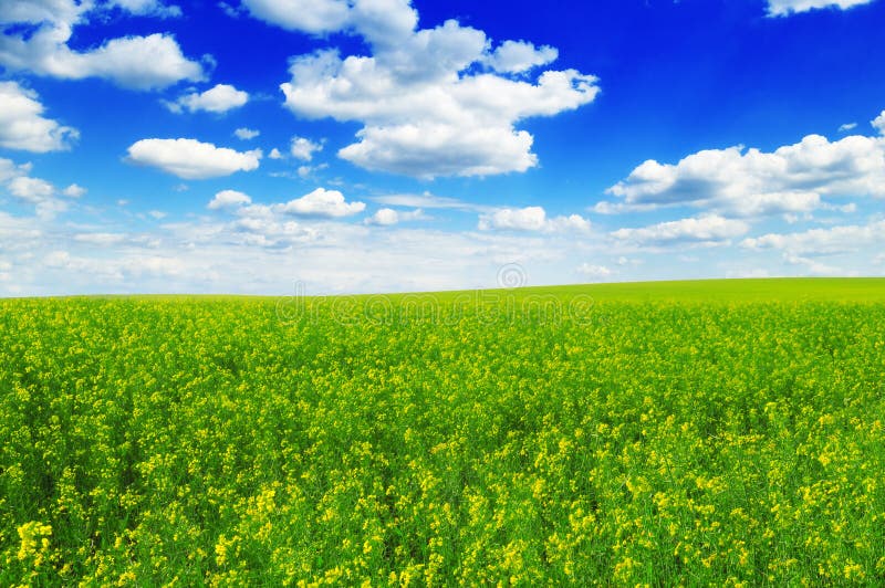 Spring meadow stock image. Image of copy, green, cloudscape - 34450437