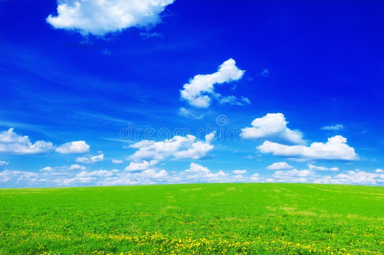 Spring meadow stock photo. Image of clouds, crop, countryside - 35017656