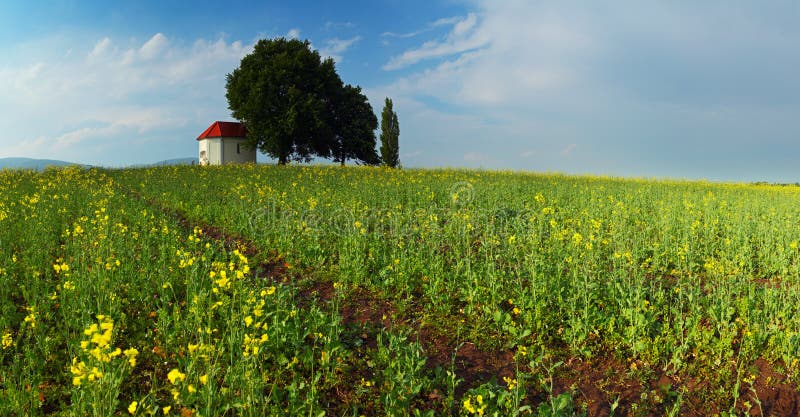Spring Meadow with Blue Sky and Clouds. Stock Photo - Image of ...