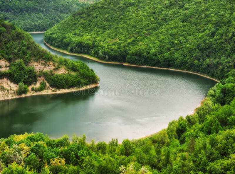 Spring Meadow. Canyon of the Picturesque River Stock Image - Image of ...