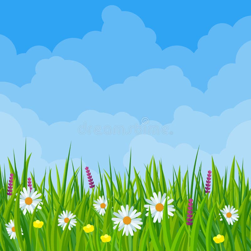 Summer Meadow. Vector Background Stock Vector - Illustration of field ...