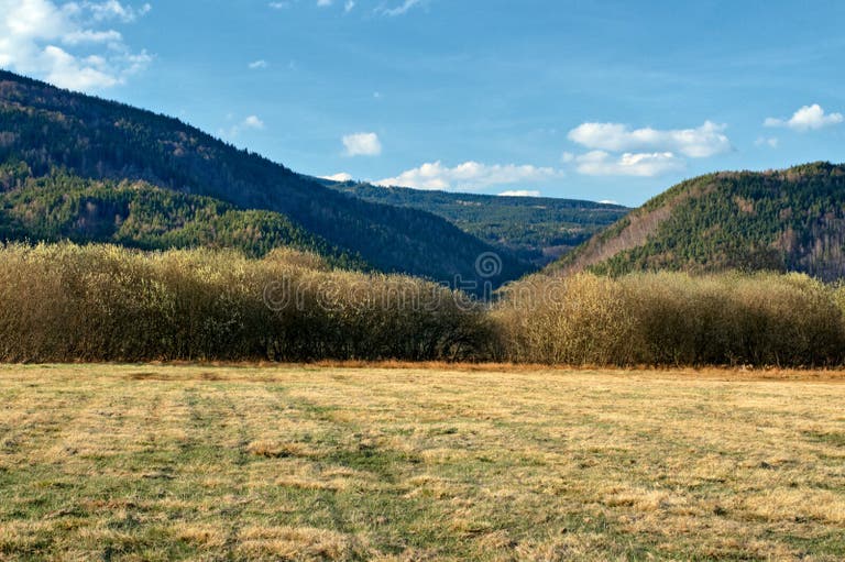 Spring Meadow before Flowering Shrubs Stock Image - Image of flowering ...