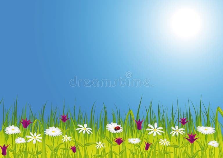 Meadow Spring Flowers Stock Illustrations – 319,335 Meadow Spring ...