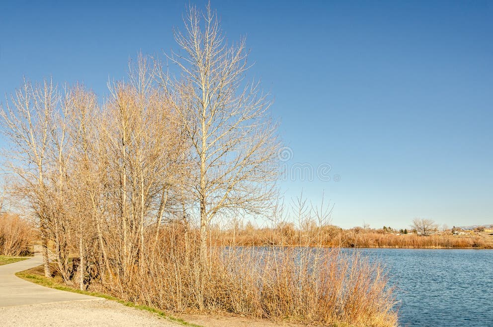 Spring at Spring Meadow Lake Stock Photo - Image of mount, lake: 140852600