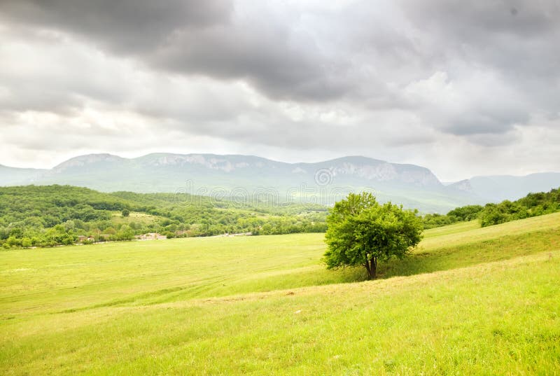 Spring meadow landscape. stock image. Image of country - 41389611