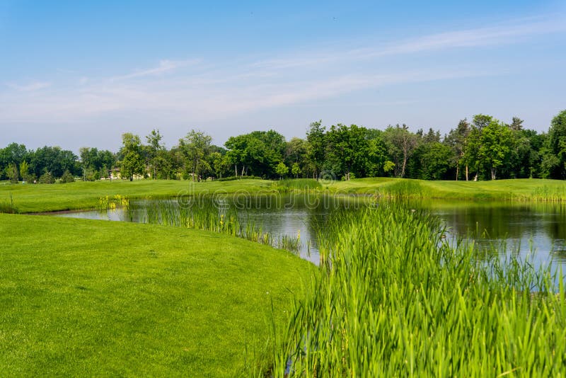 Spring meadow landscape stock image. Image of lake, land - 67430145