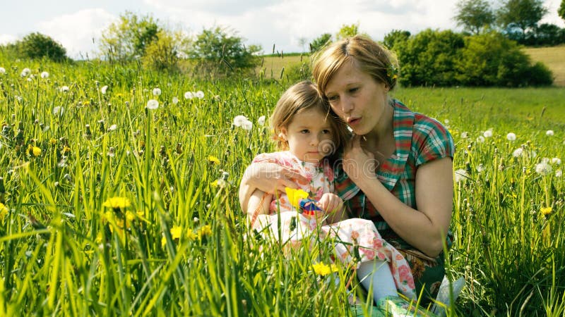 Spring Meadow #5 stock photo. Image of affection, love - 61453282
