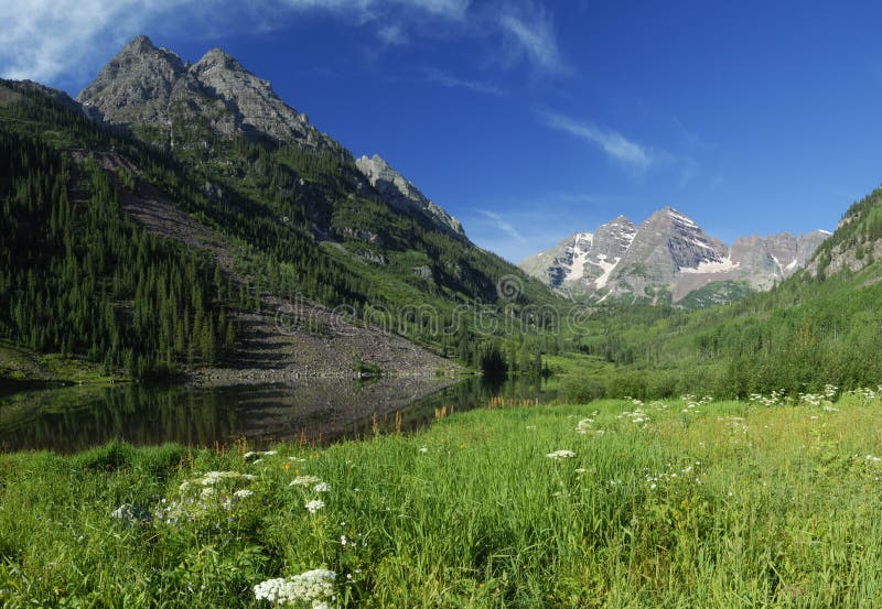 Spring Meadow Near Maroon Bells in Colorado Stock Photo - Image of ...