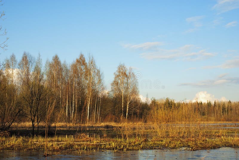 Spring Meadow Near the River Stock Photo - Image of weather, grass ...
