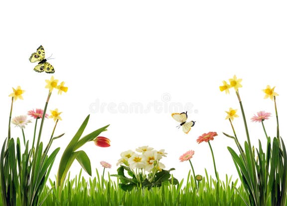 Spring meadow scenery stock image. Image of gerber, gardens - 4681211