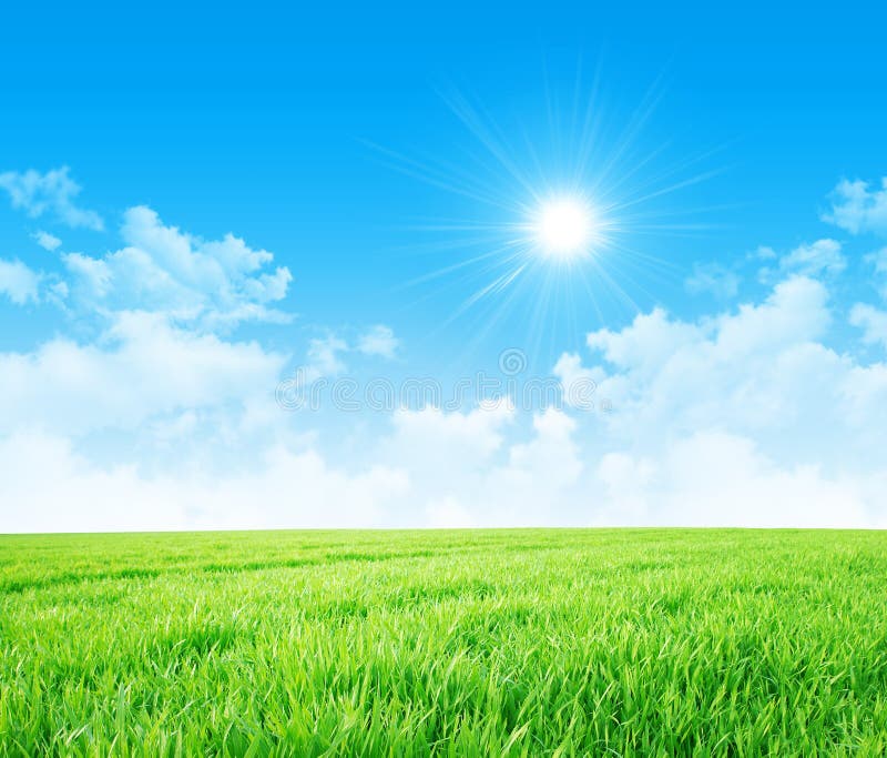 Spring Meadow and Sun in Blue Sky Stock Image - Image of grass ...