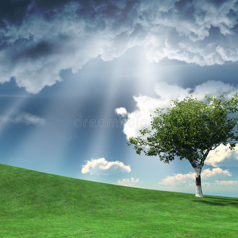 Green meadow scenery stock illustration. Illustration of flower - 42360358