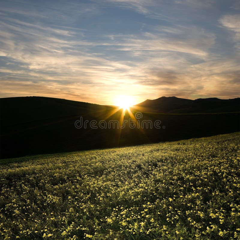Sun set stock image. Image of queenstown, pasture, scenic - 20974711