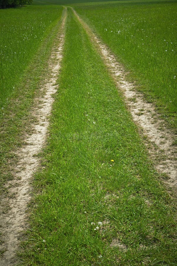 Spring meadow stock image. Image of surface, landscape - 72257983