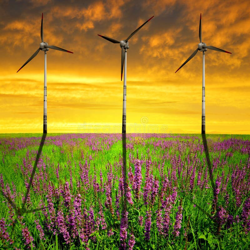 Spring Meadow with Wind Turbines Stock Photo - Image of color ...