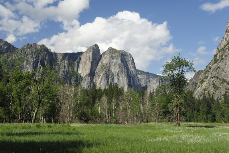 Spring Meadow in Yosemite Valley Stock Image - Image of yosemite ...