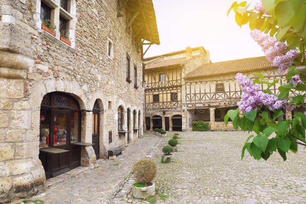 Spring. Medieval Village of France: Flowering Purple Lilac Stock Image ...
