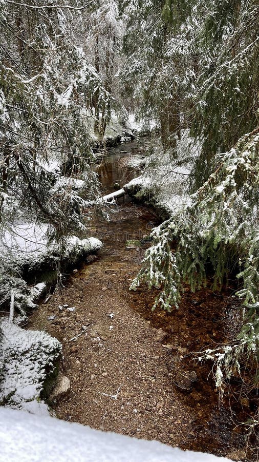 Spring Melt Water Flows Down the Mountain Slope in the Spring Snow ...