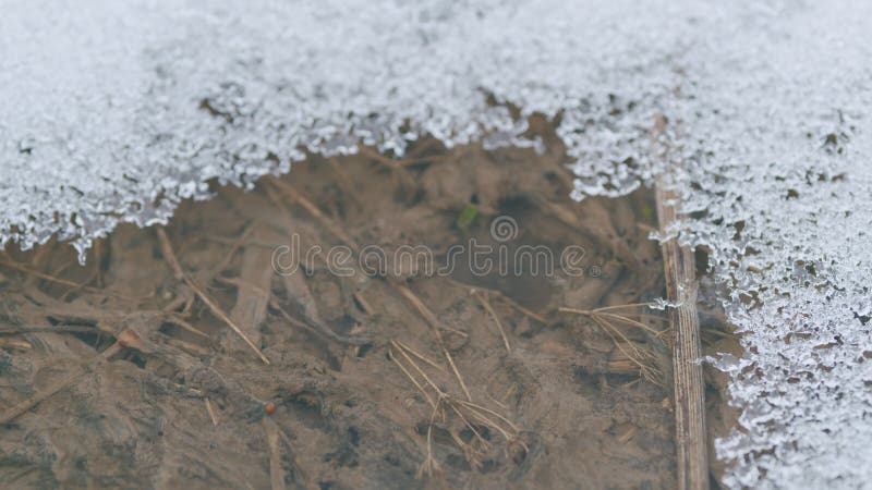 Spring Melting of Ice on Small River. Water Flow Under Ice Stock Photo ...