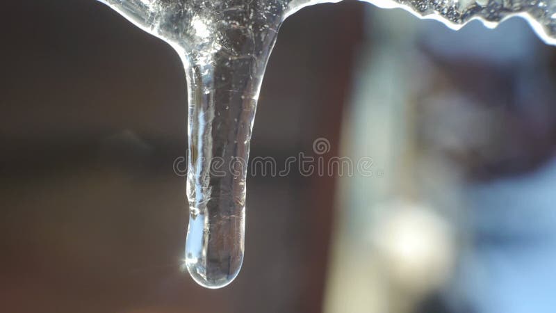 Spring melting icicle stock video. Video of spring, warm - 275675653