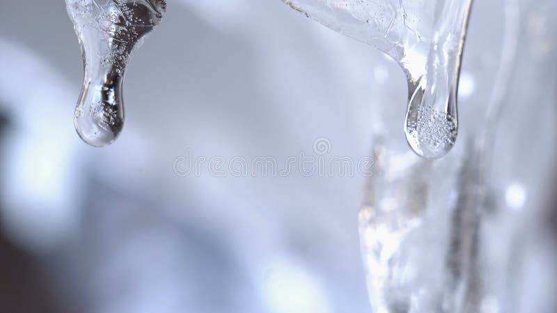 Spring melting icicles stock video. Video of warm, season - 275668681